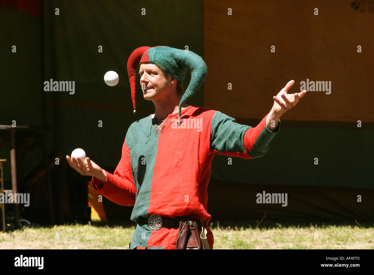 Harlequin medieval hi-res stock photography and images - Alamy