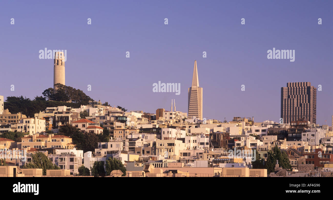 Trans america pyramid building hi-res stock photography and images - Alamy