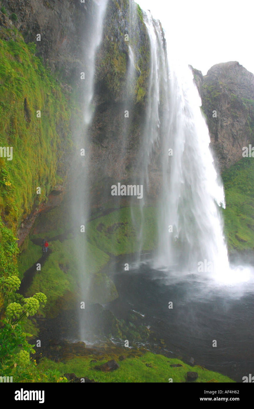 Seljalandsfoss waterfall in summer with path behind waterfall near ...