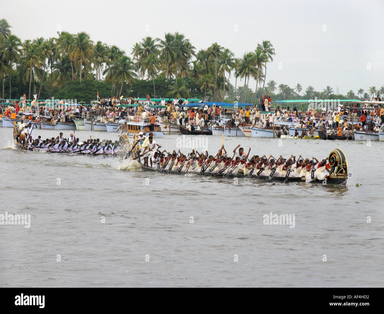 Vallamkali, the traditional snake boat race is the highlight of the ...