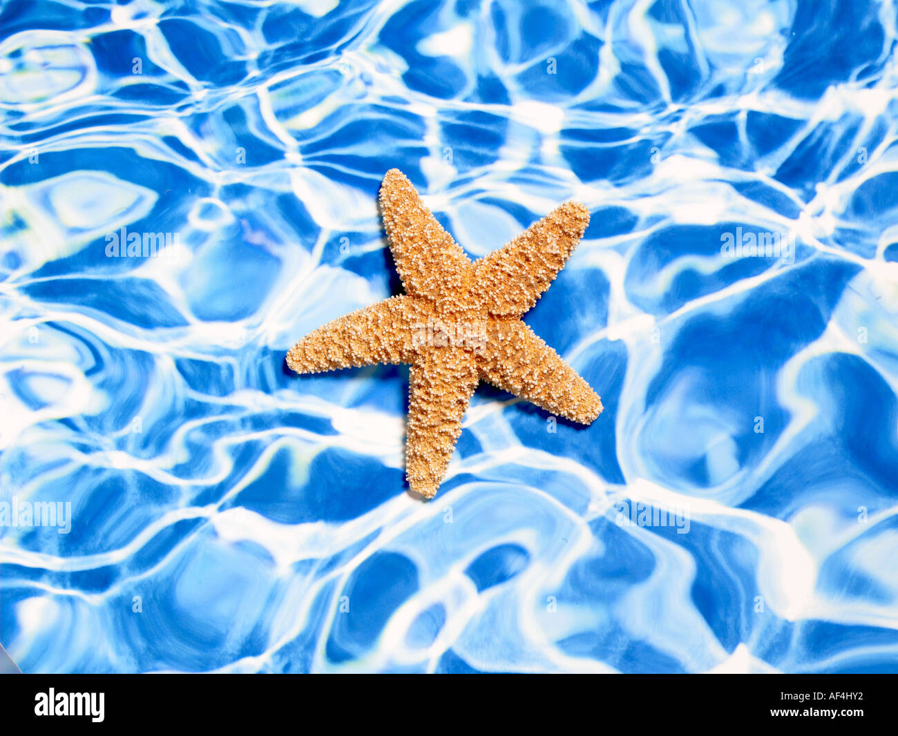 Metaphorical and symbolic hi-res stock photography and images - Alamy