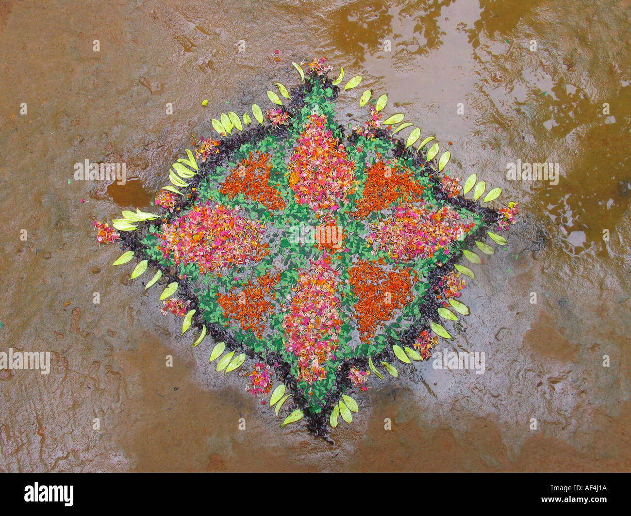 Flower decoration, during Onam festival in Kerala. Flowers are brought ...