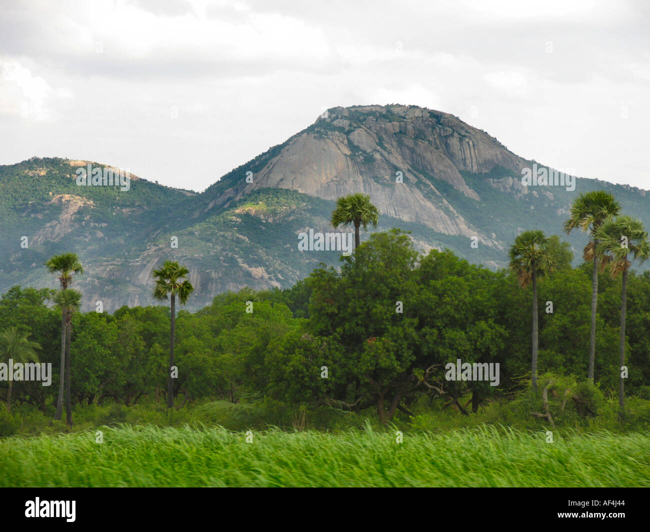 Landscape, Karnataka, India Stock Photo - Alamy