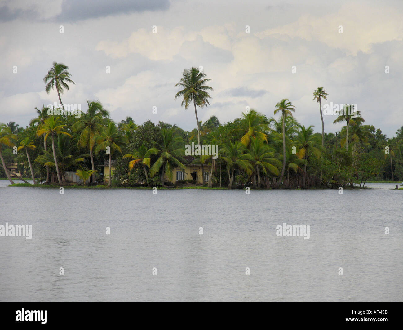 Landscape—Back waters of Kerala. India Stock Photo - Alamy