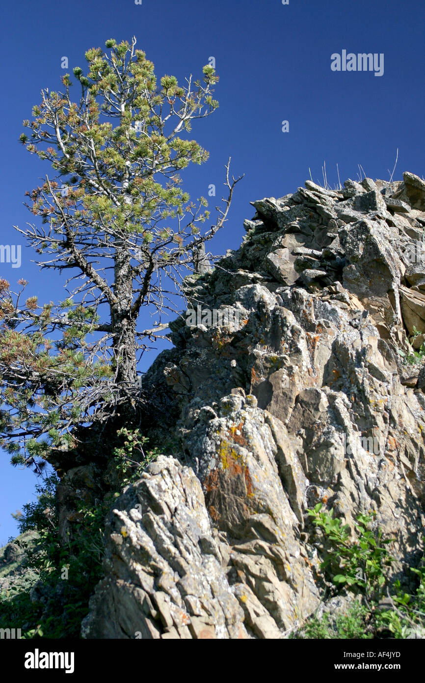 Vertical shot picturesque rocky hi-res stock photography and images - Alamy