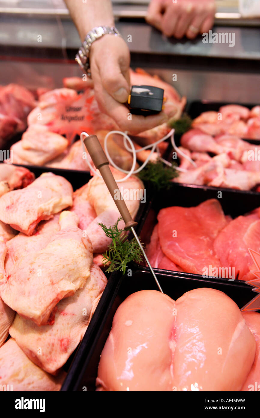 Food Quality Control Inspector During The Temperature Measurement In A food-quality-control-inspector-during-the-temperature-measurement-in-a