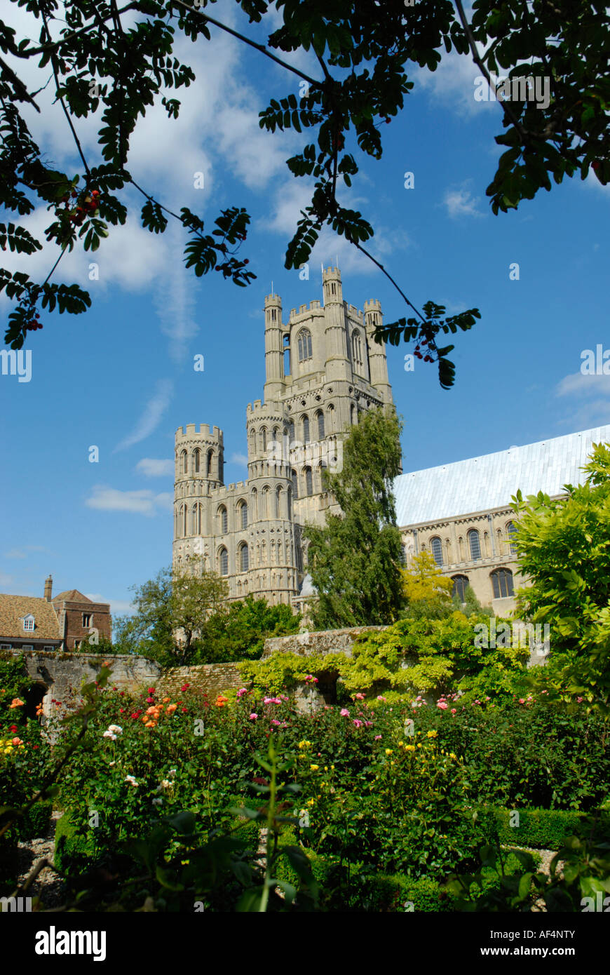View of Ely Cathedral and monastic gardens Cambridgeshire England Stock ...