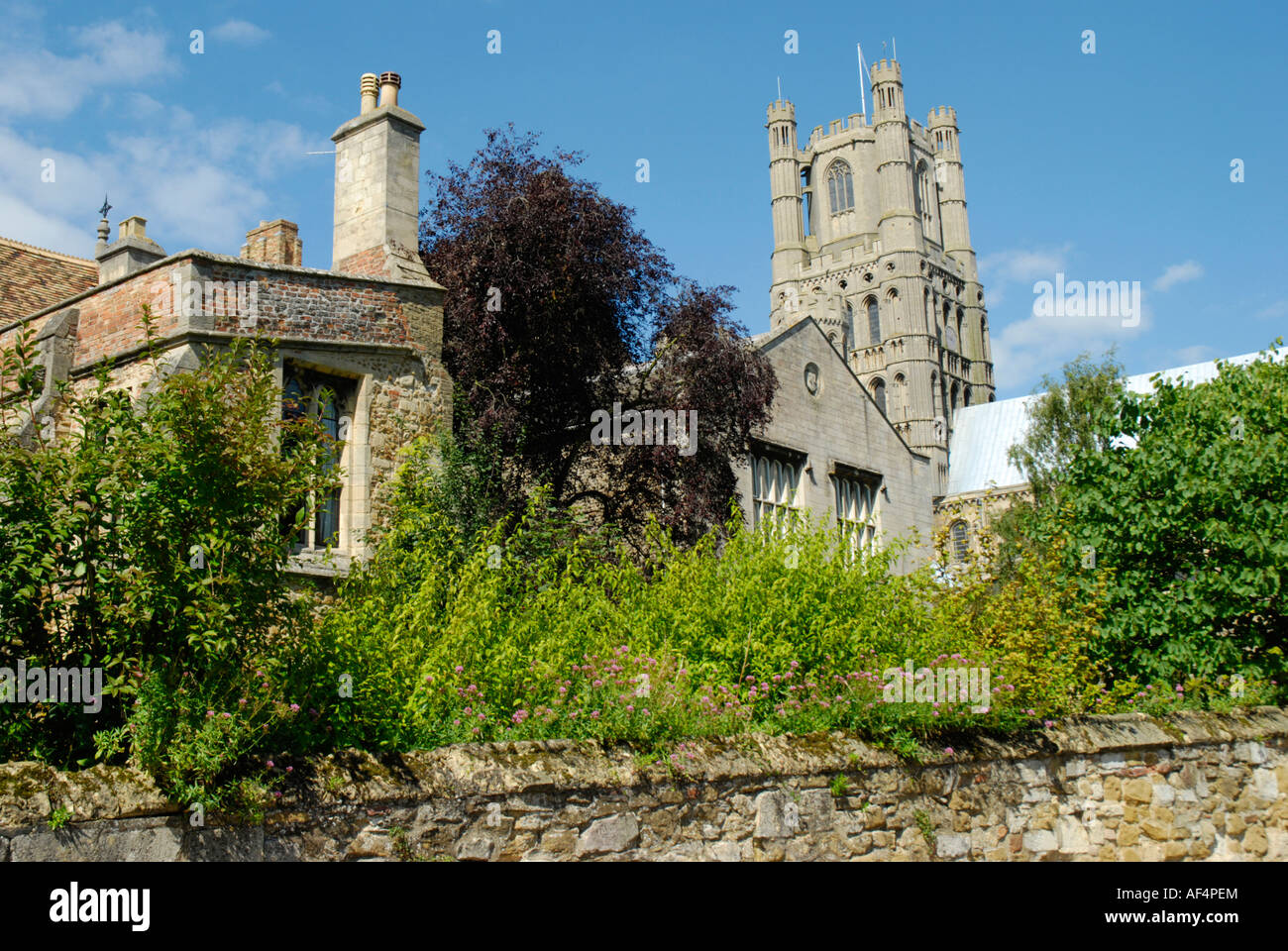 Monastic buildings and gardens with Ely Cathedral West Tower in the ...