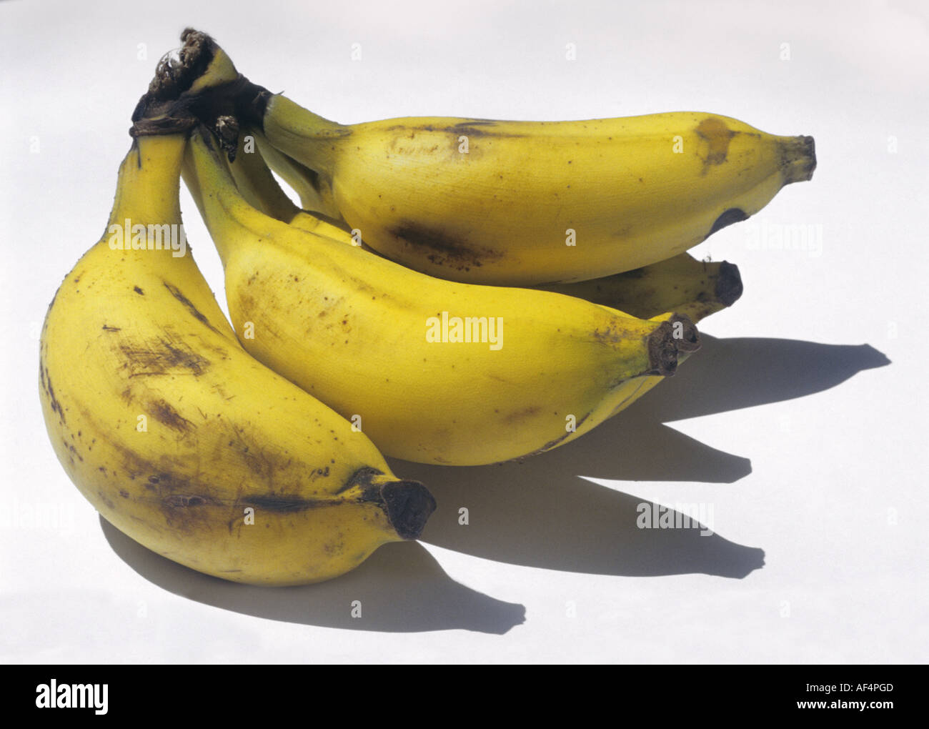 Musa sapientum hi-res stock photography and images - Alamy