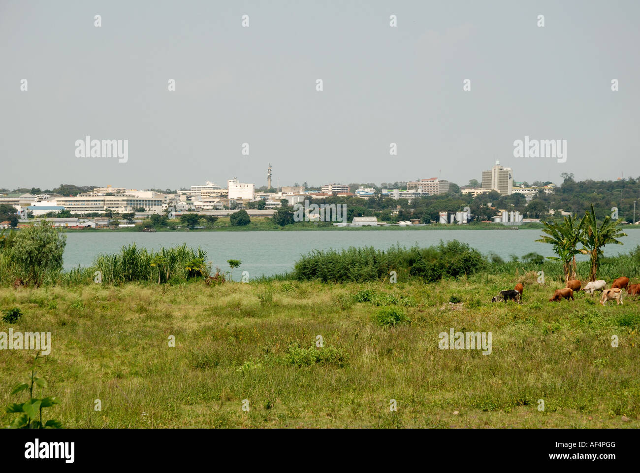 Winam gulf hi-res stock photography and images - Alamy