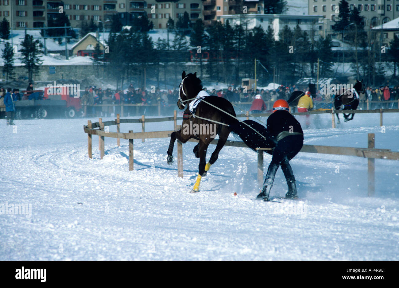 Horse and ski racing teams negotiate a curve on the race track on ...