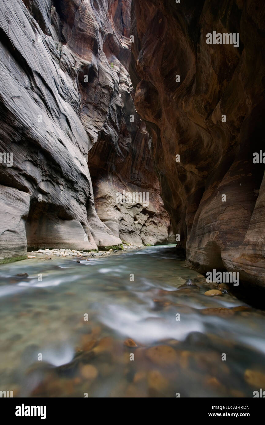 Narrows Zion national park Stock Photo - Alamy