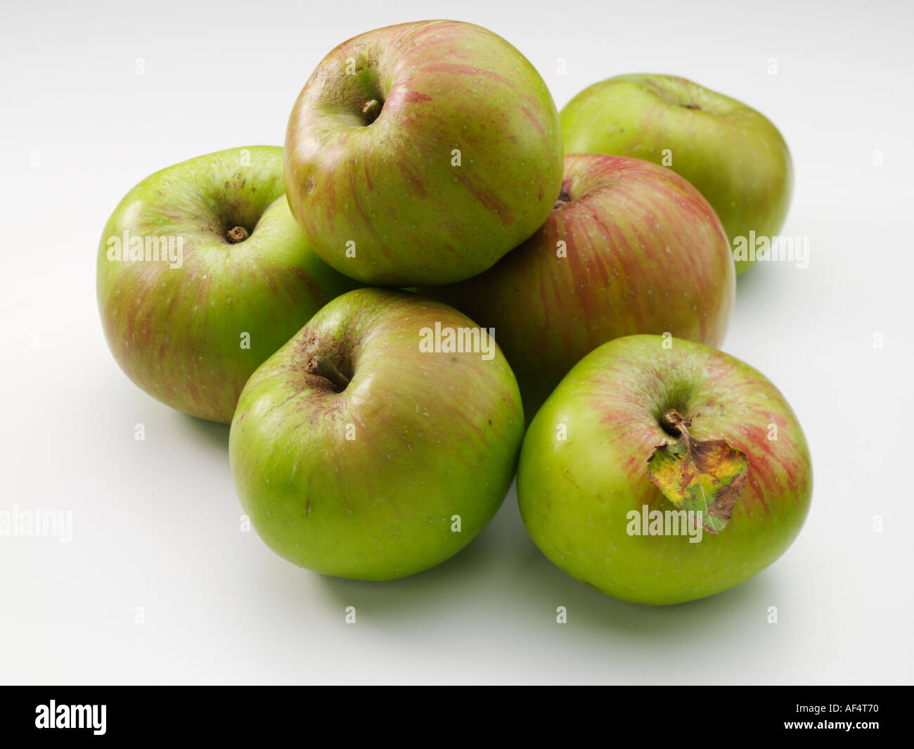 Organic Bramley Apples Stock Photo - Alamy