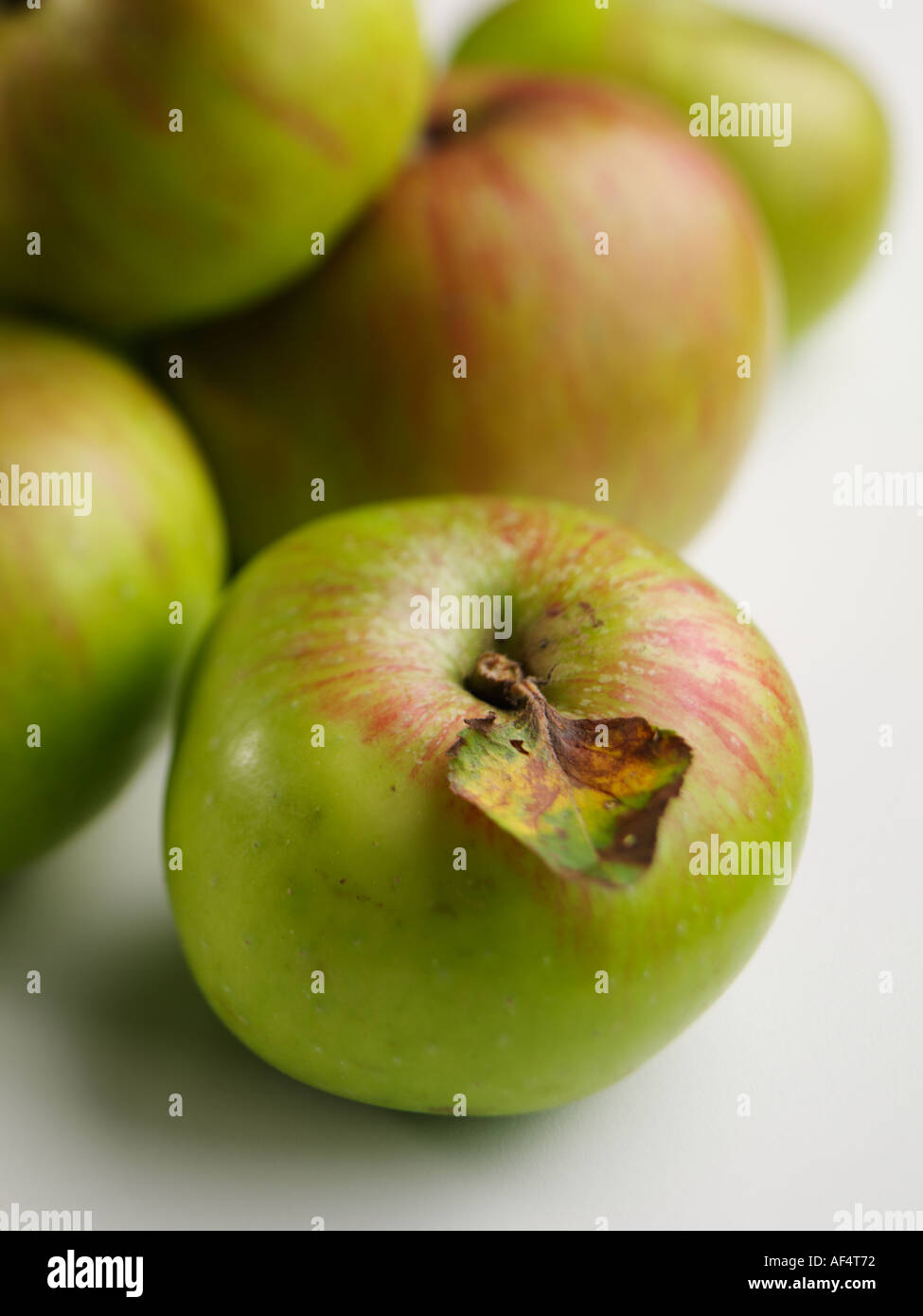 Organic Bramley Apples Stock Photo - Alamy