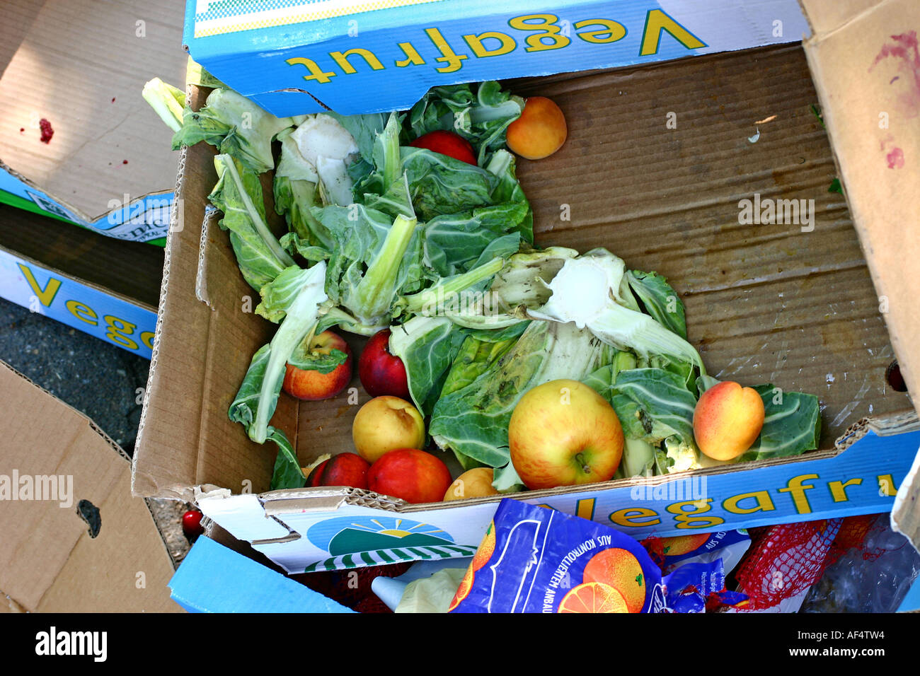 Fruit And Vegetables Waste And Cardboard High Resolution Stock ...
