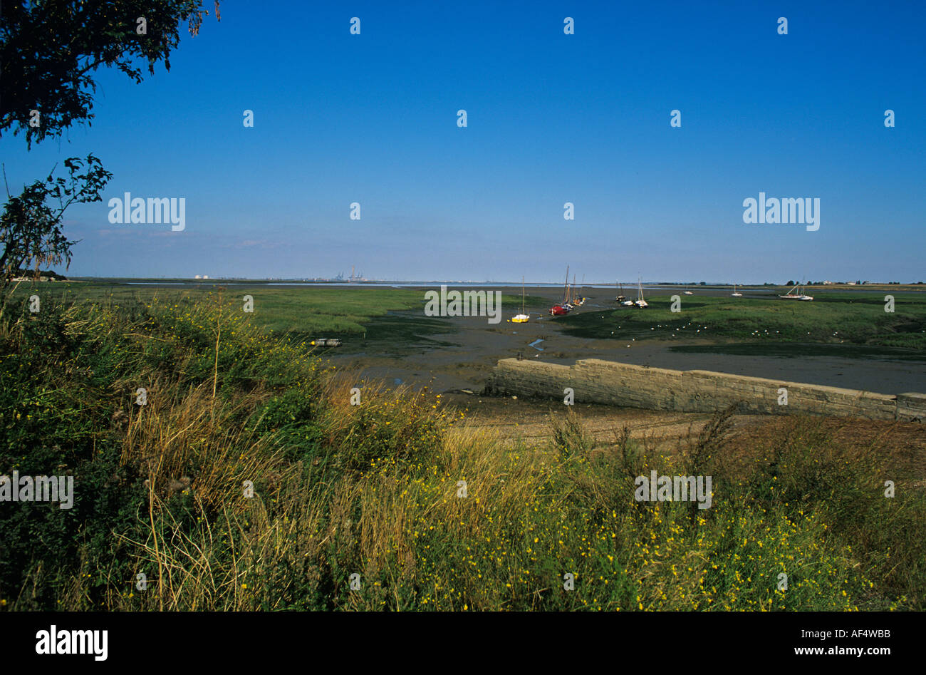 Thames marshes hi-res stock photography and images - Alamy