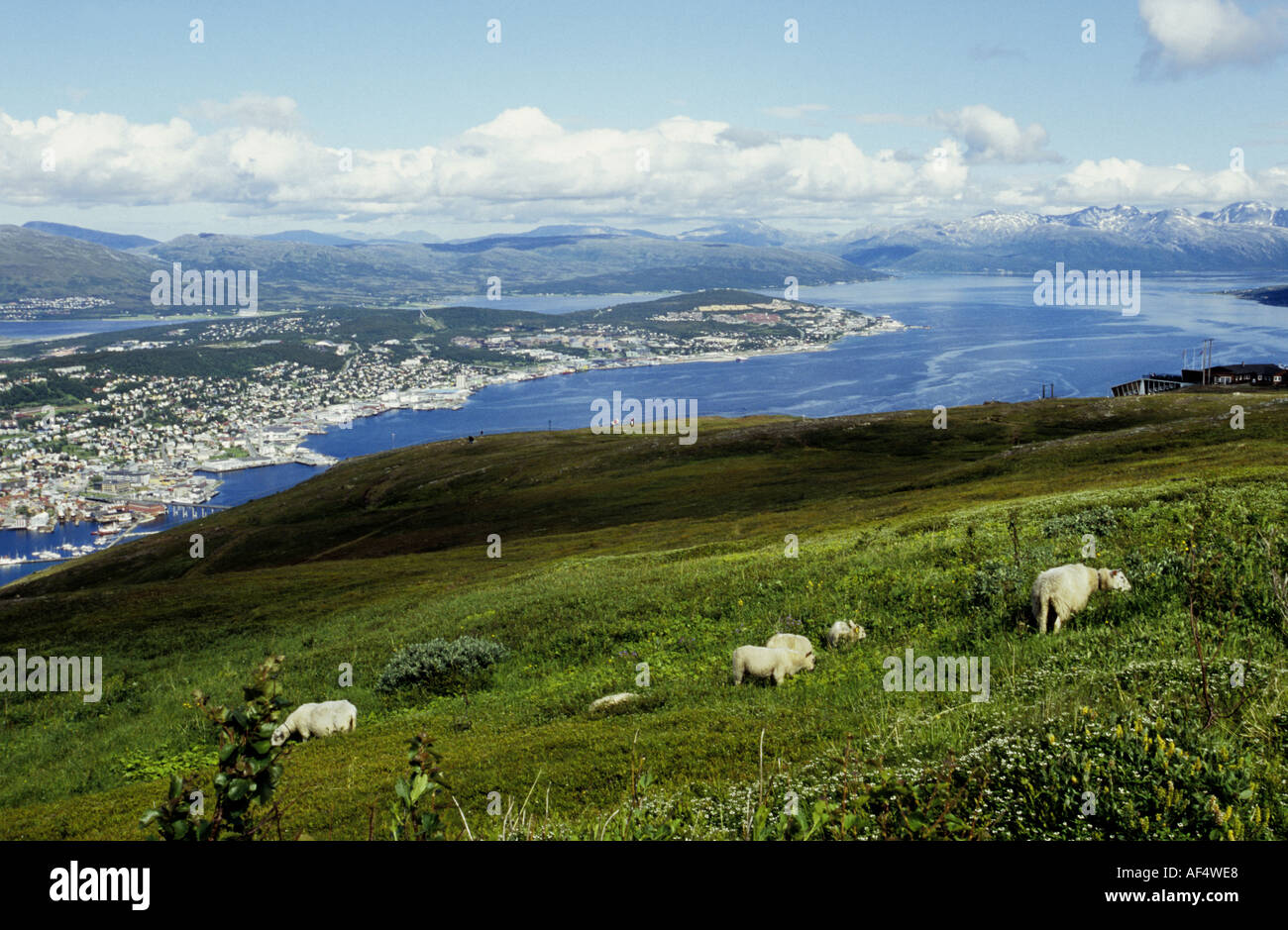 View of Tromso from the top of Mount Storsteinen, Tromso, Norway ...