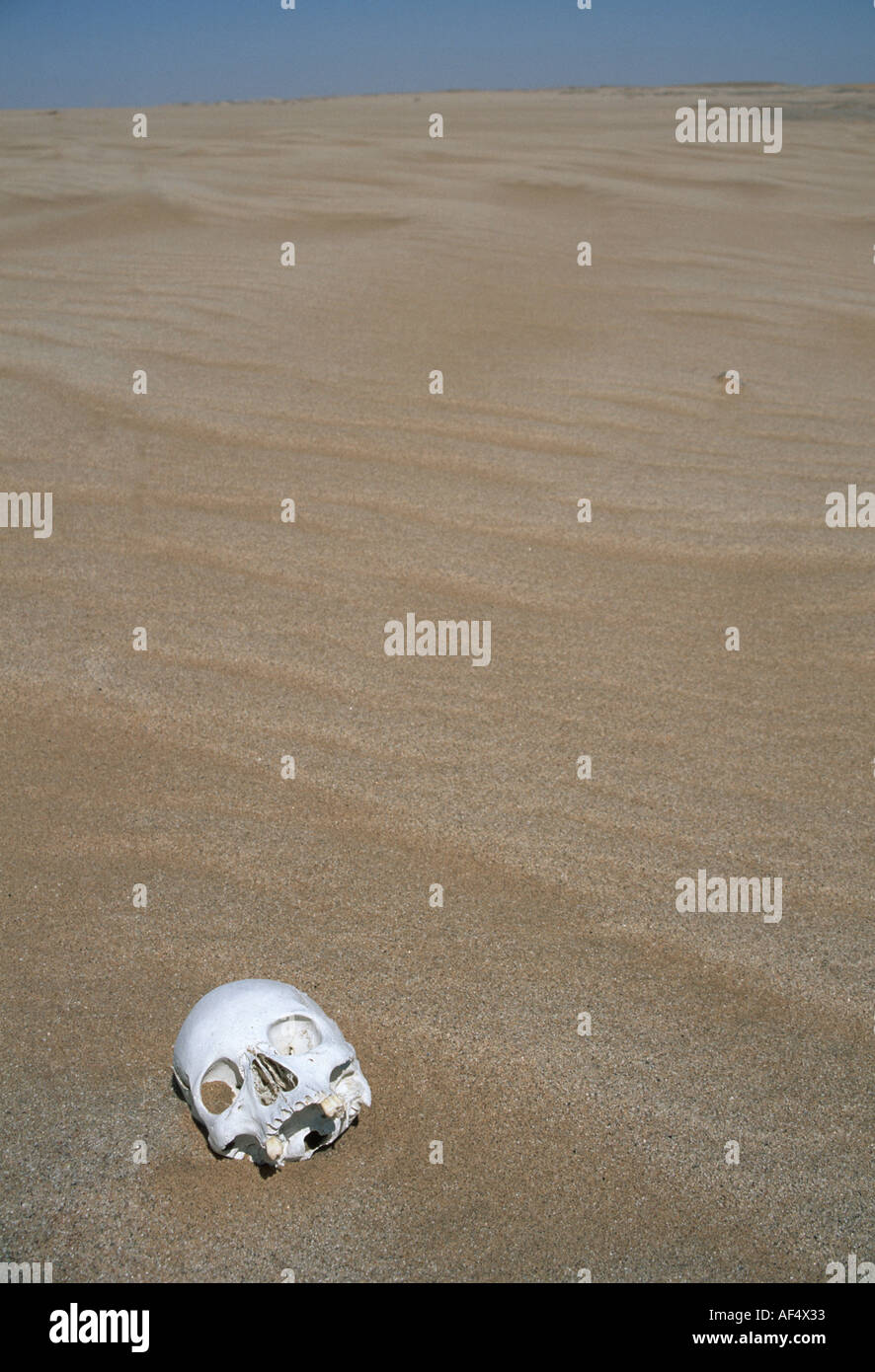 Skeleton unearthed the dunes have shifted This corpse was left over ...
