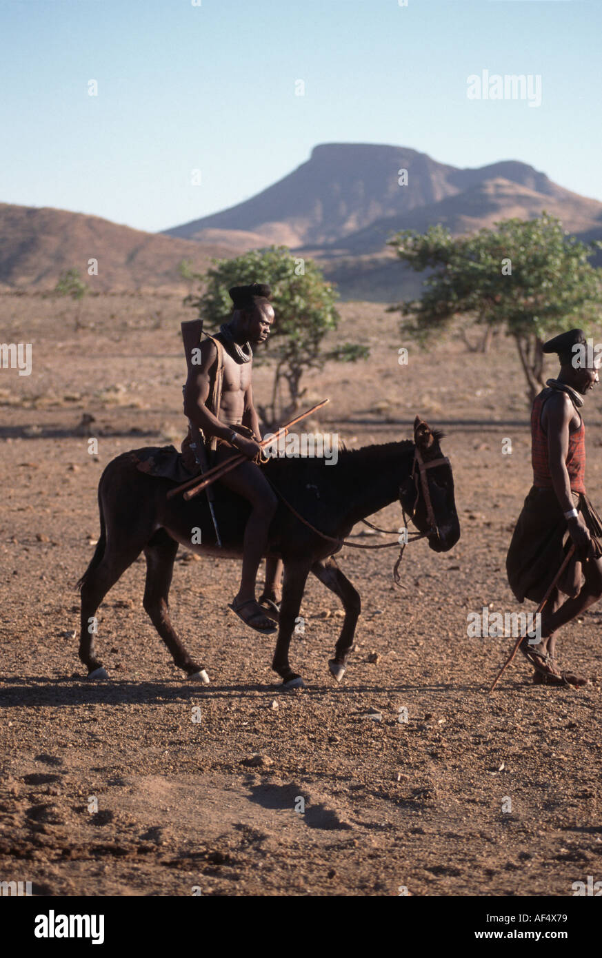 A himba man travellling by donkey carrying a gun for hunting Northern ...