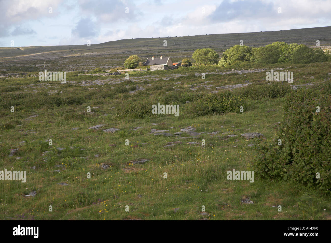 The Burren limestone scenery County Clare Ireland Stock Photo - Alamy