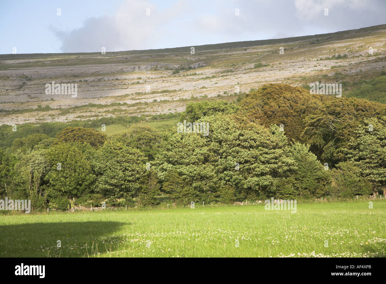 The Burren limestone scenery County Clare Ireland Stock Photo - Alamy