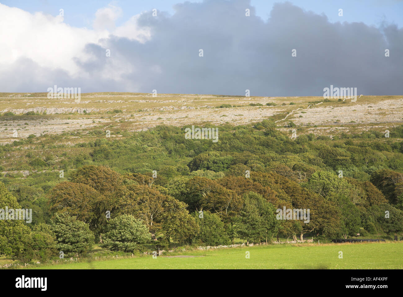 The Burren limestone scenery County Clare Ireland Stock Photo - Alamy