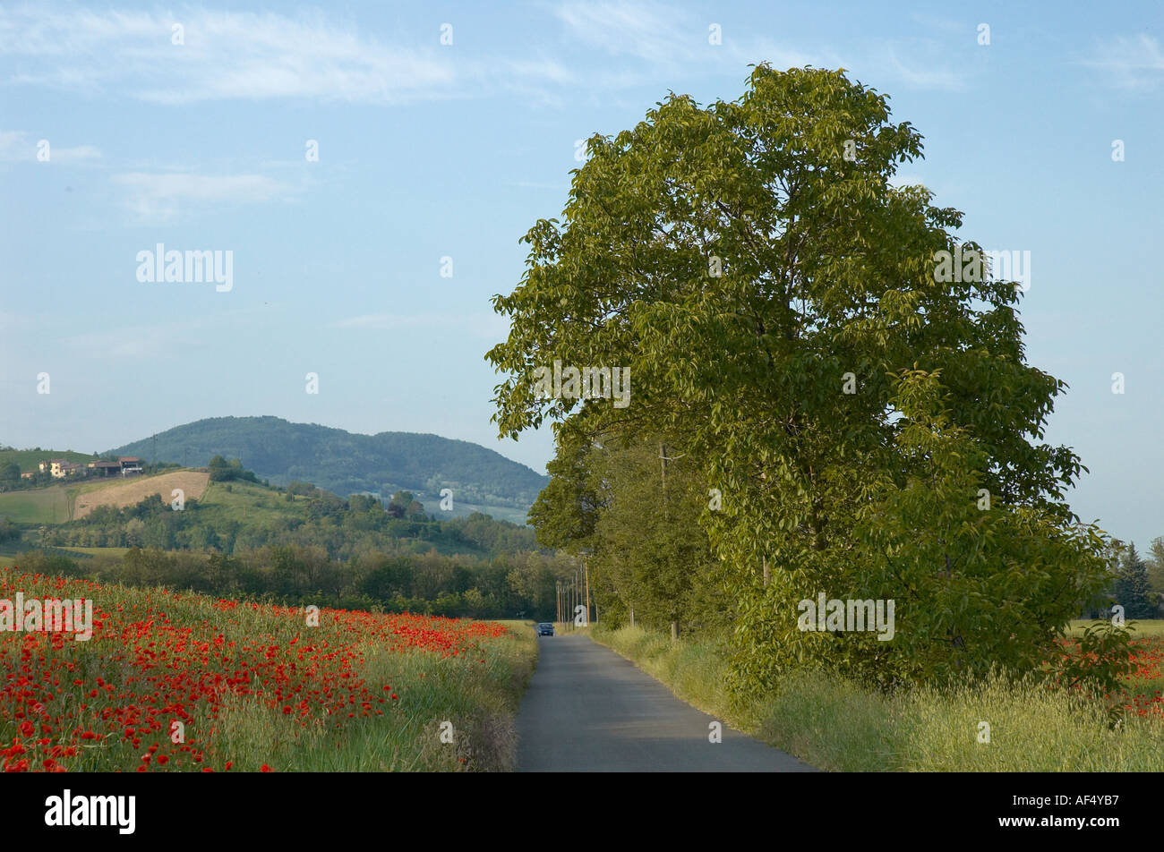 Spring in Val Trebbia Piacenza Italy Stock Photo - Alamy
