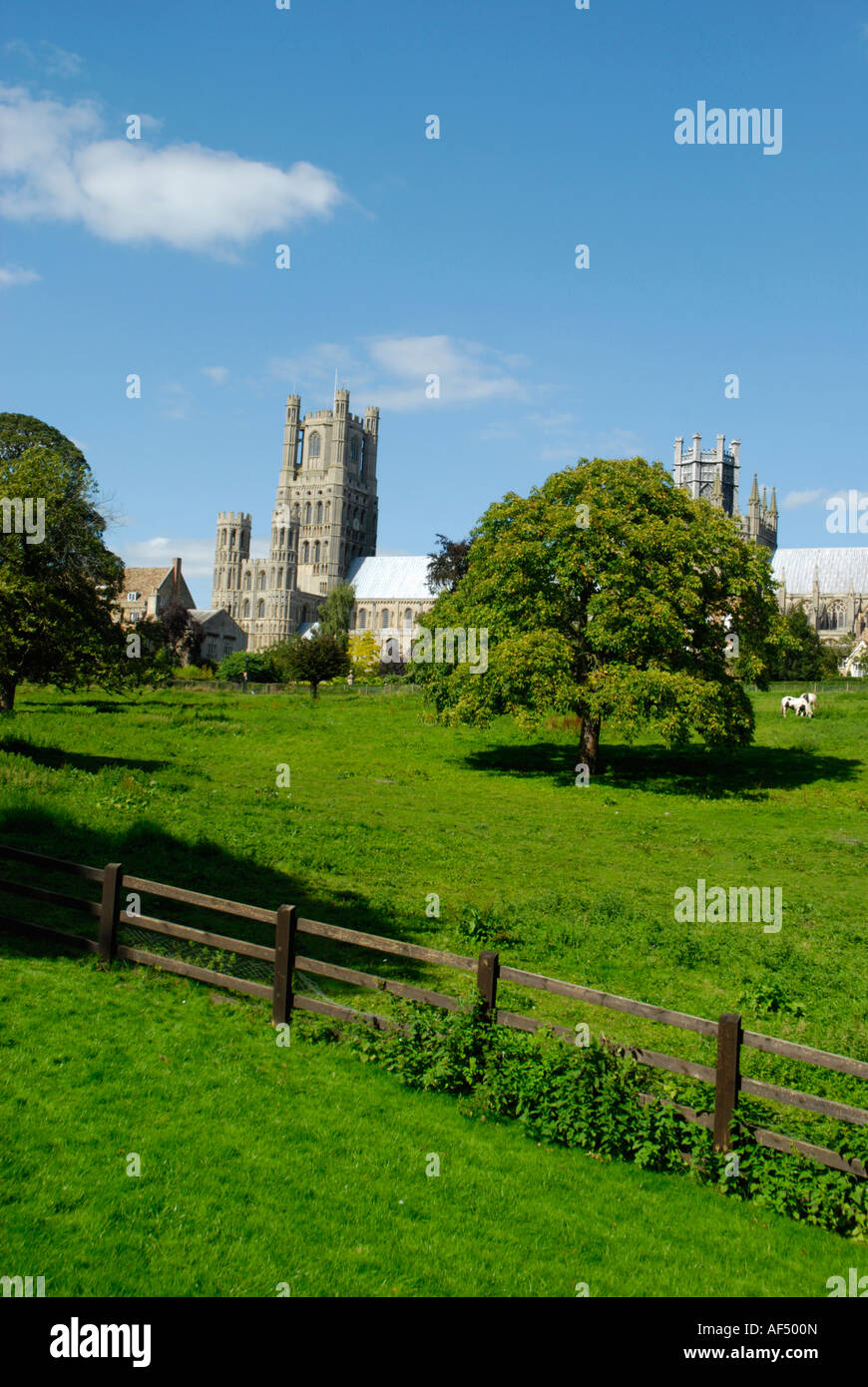 Ely Cathedral and Ely Park Cambridgeshire England Stock Photo - Alamy