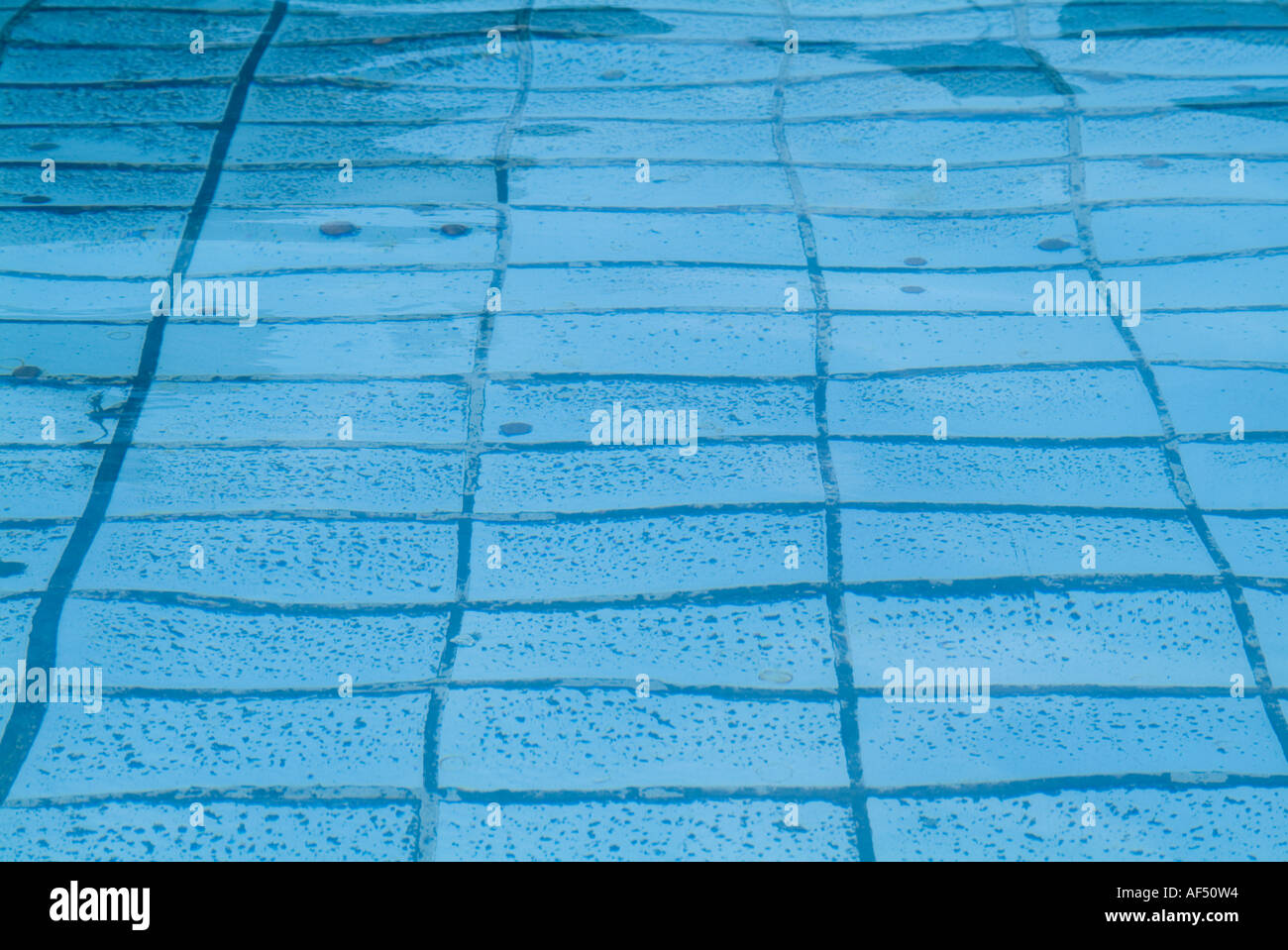 water distortion over swimming pool tiles Stock Photo - Alamy