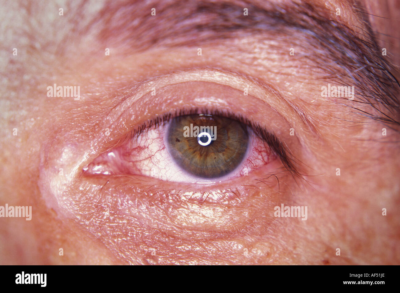 Brown human eye close hi-res stock photography and images - Alamy