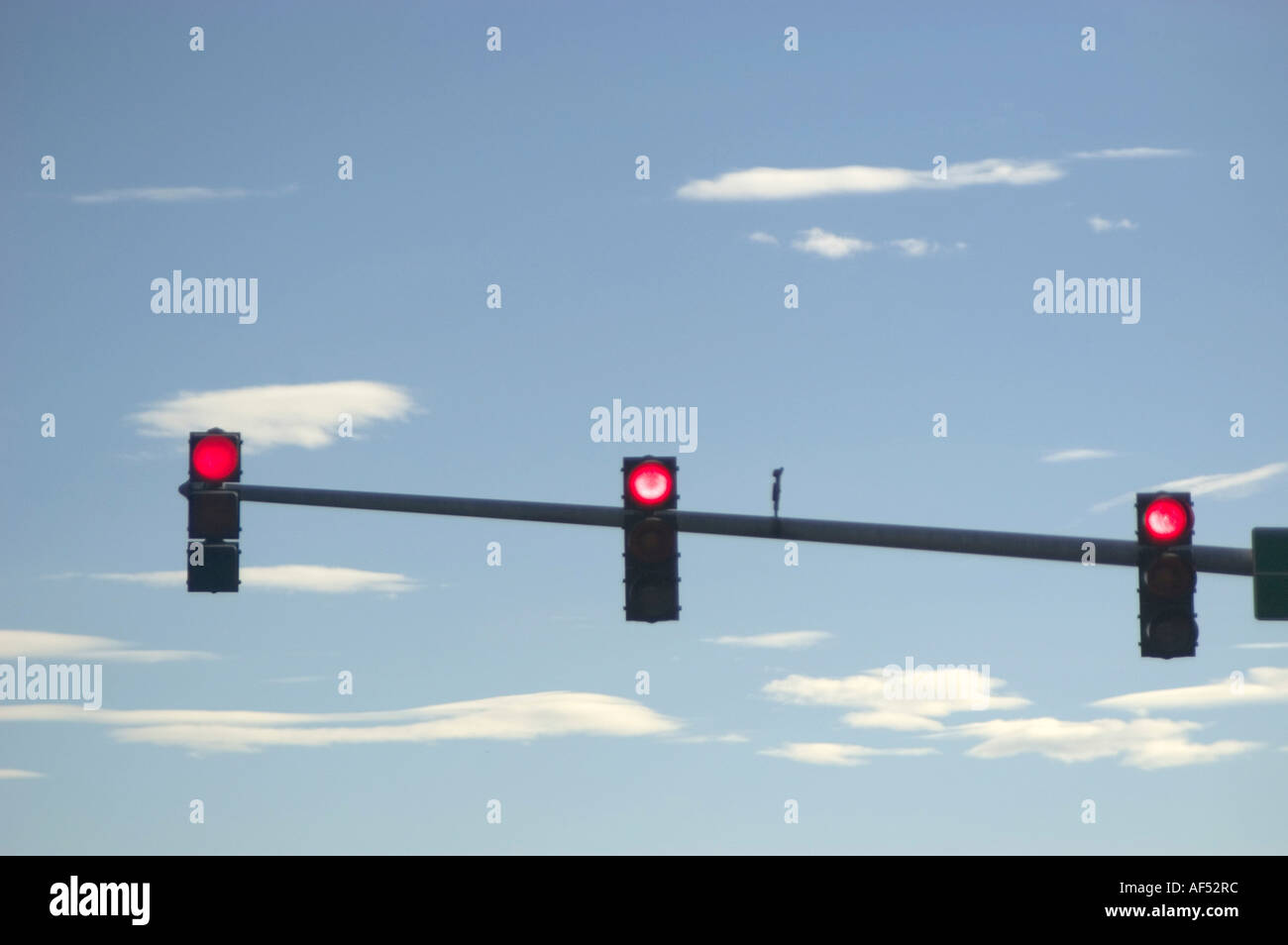 Low angle view of a traffic light Stock Photo - Alamy