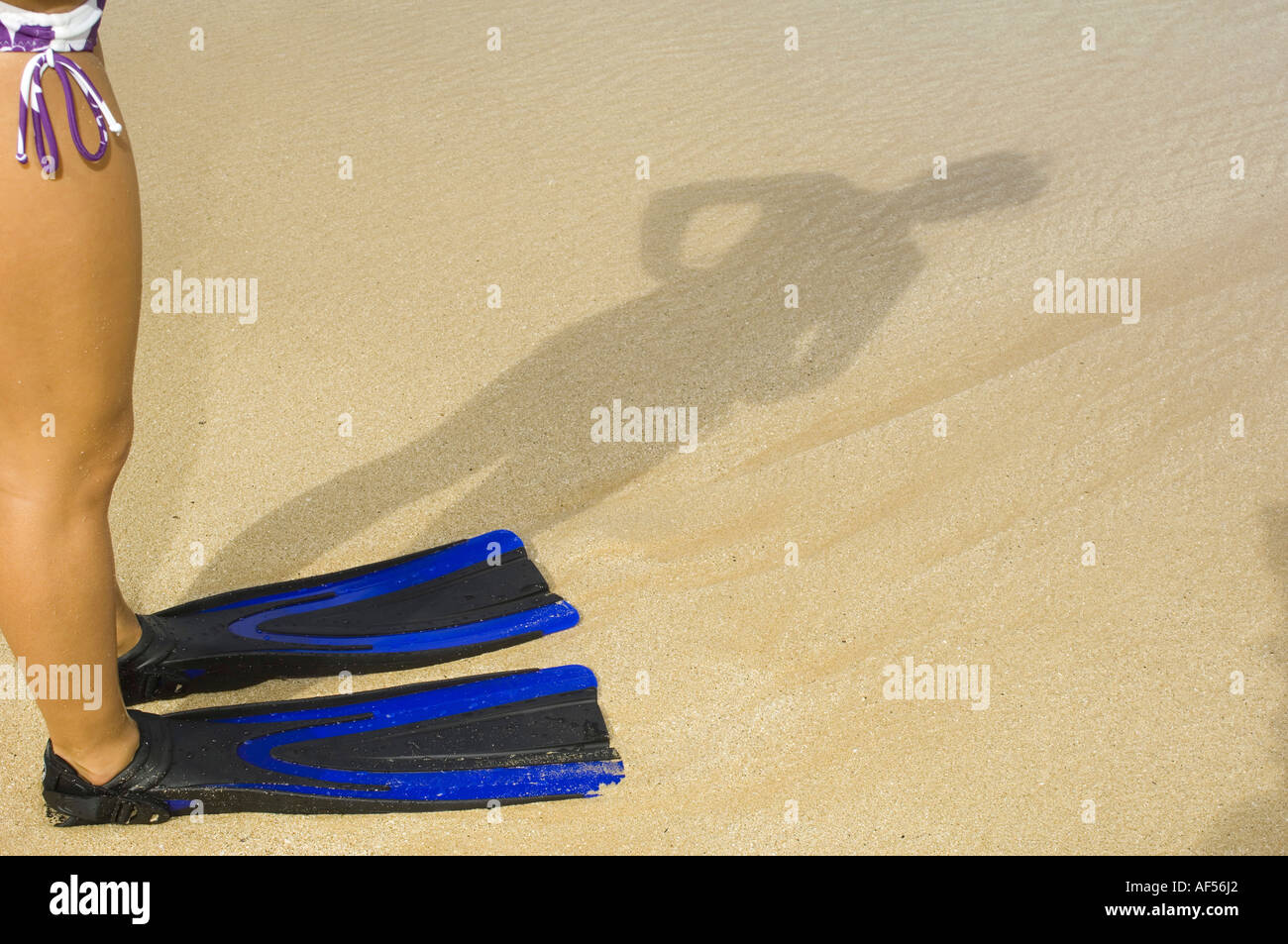 Low section view of a woman wearing flippers standing on the beach ...