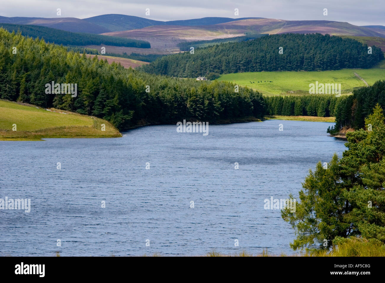 Backwater reservoir, Angus Scotland Stock Photo - Alamy