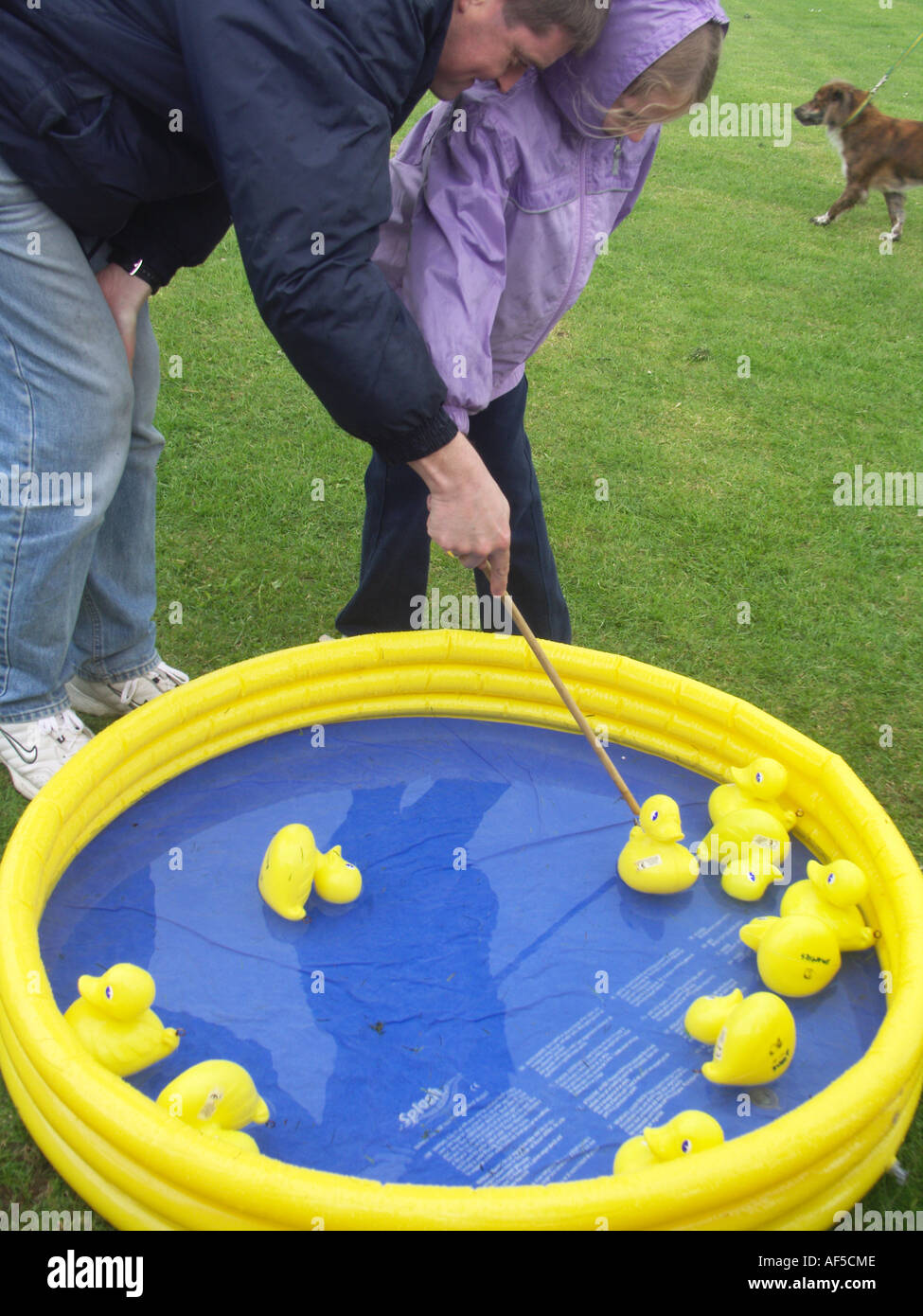 Hook the duck game at summer fete Suffolk England Stock Photo - Alamy