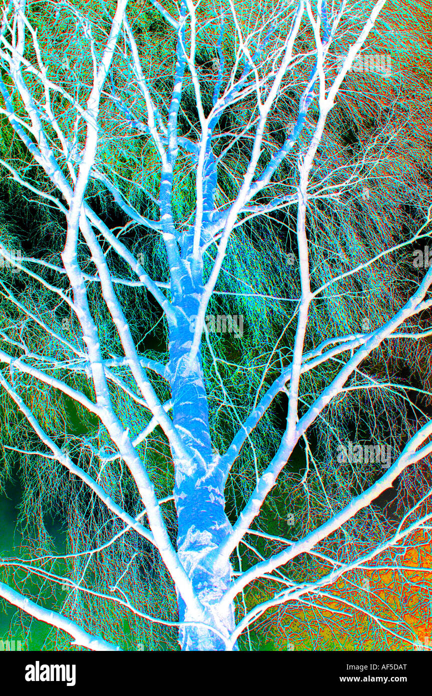 Negative effect hi-res stock photography and images - Alamy