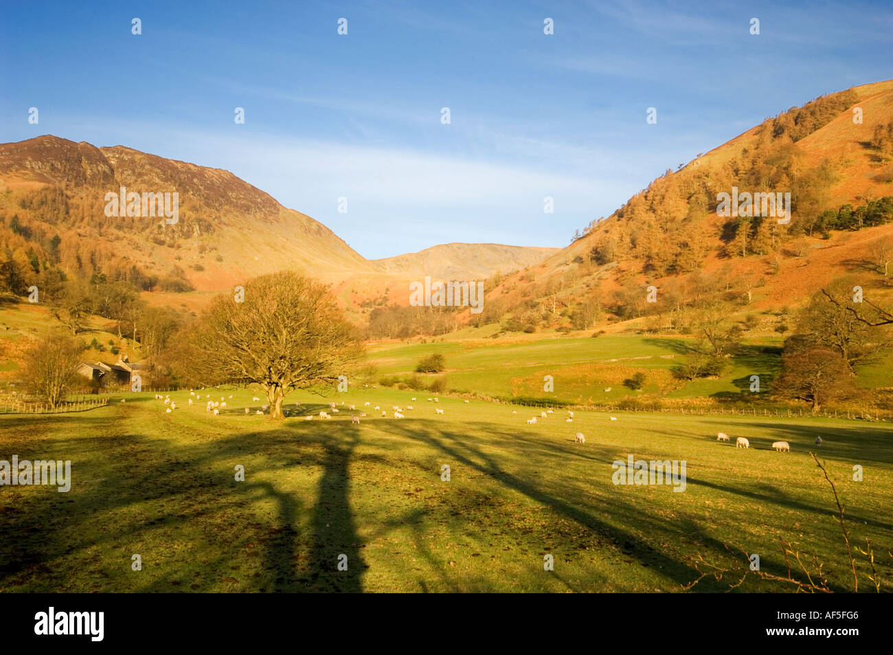 lake district autumn showing hills and fall colours on sunny day with ...