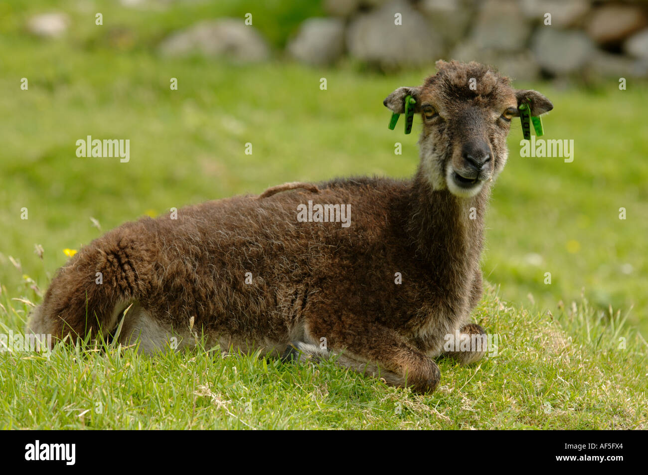 St kilda aerial scotland hi-res stock photography and images - Alamy