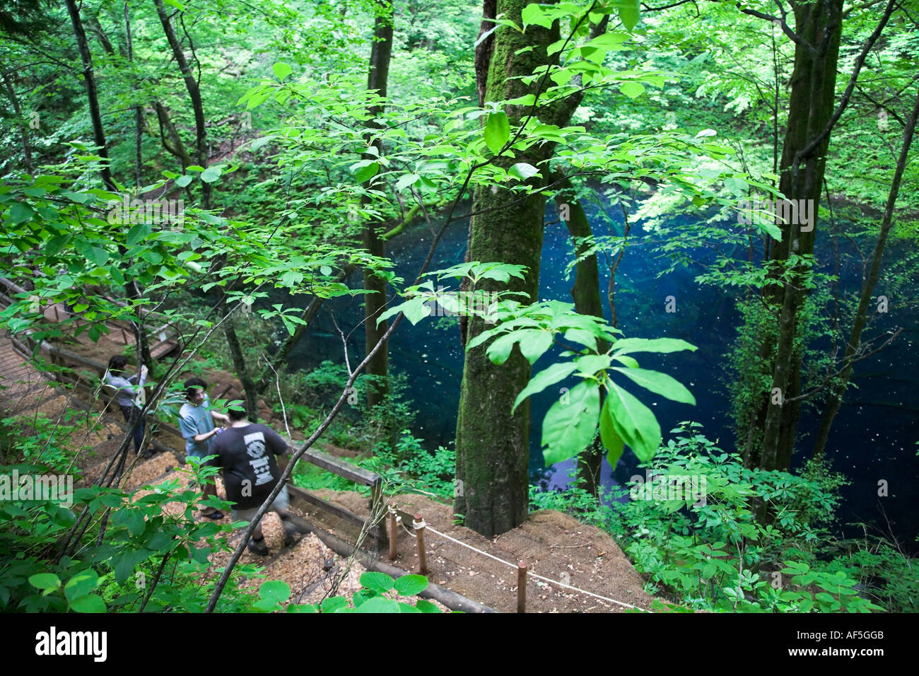 Juniko lakes in Aomori, Japan blue water forest Stock Photo - Alamy