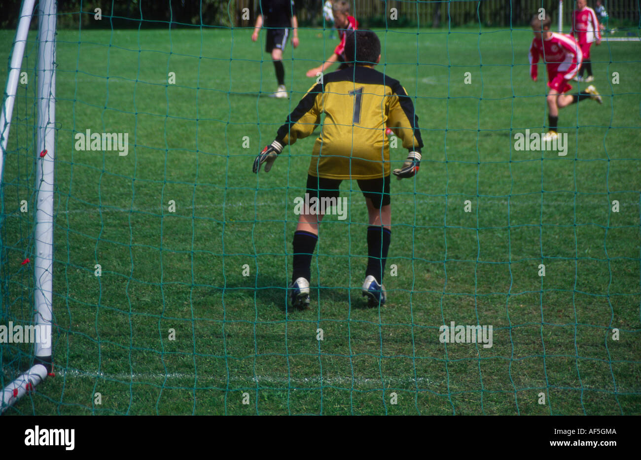 Children's football tournament. View of goalkeeper from behind the net ...
