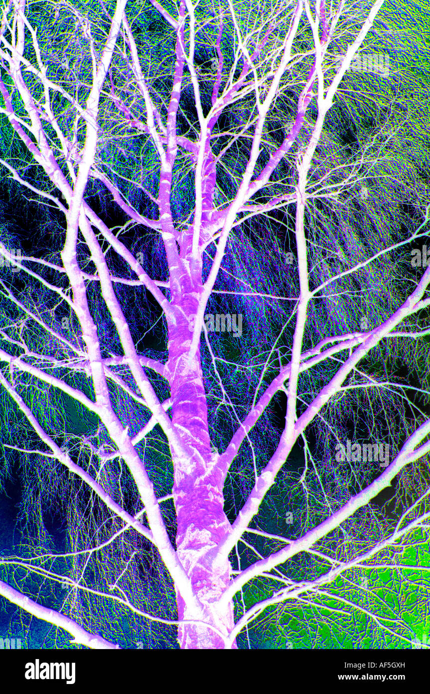 Negative effect hi-res stock photography and images - Alamy