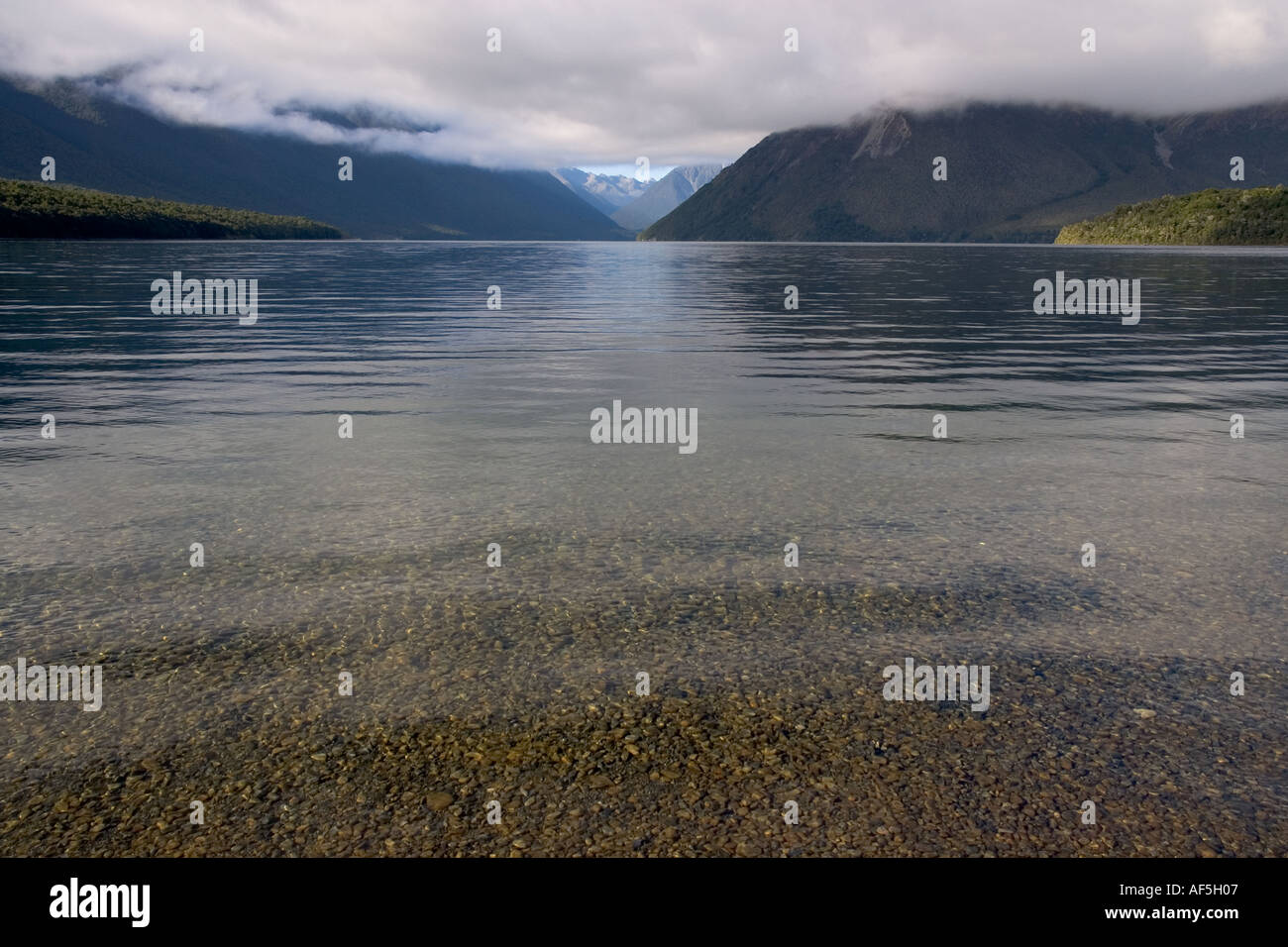 Lake Rotoiti Nelson Lakes Stock Photo - Alamy