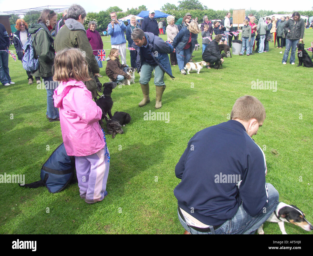 Dog show at village country summer fete England Stock Photo - Alamy