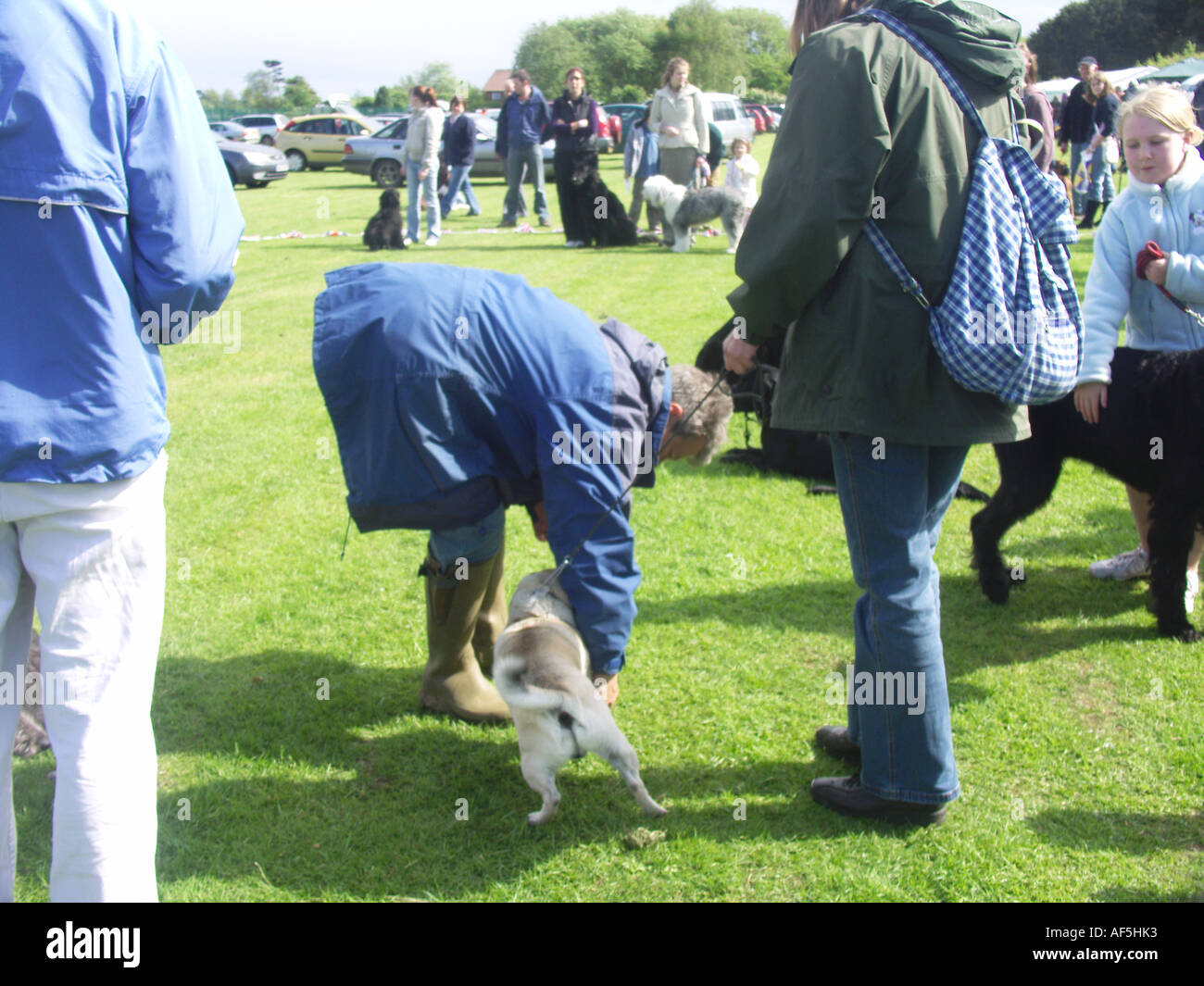 Summer country show hi-res stock photography and images - Alamy