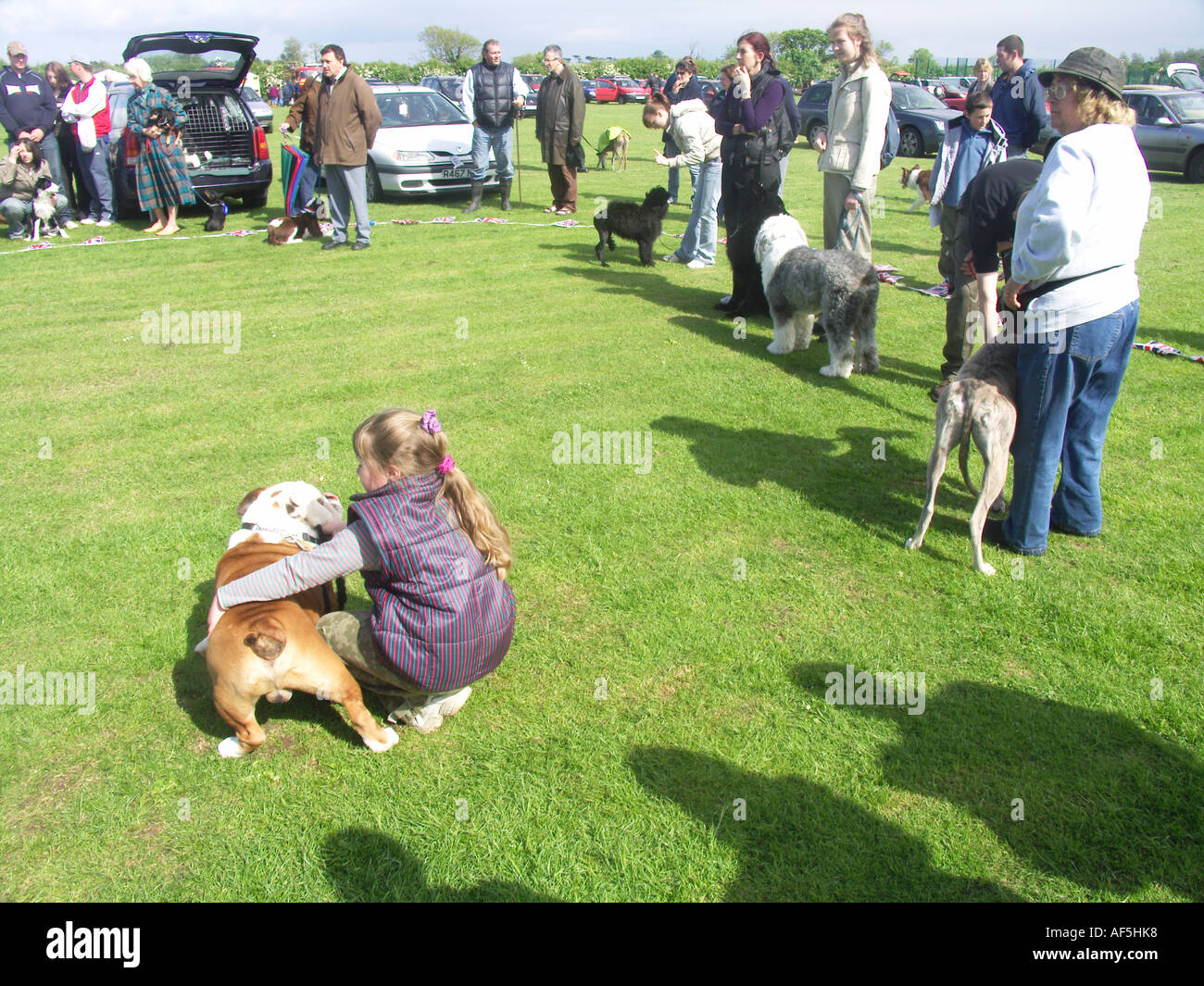 Village judge hi-res stock photography and images - Alamy