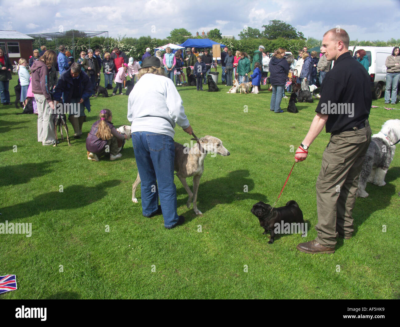 Village dog show hi-res stock photography and images - Alamy