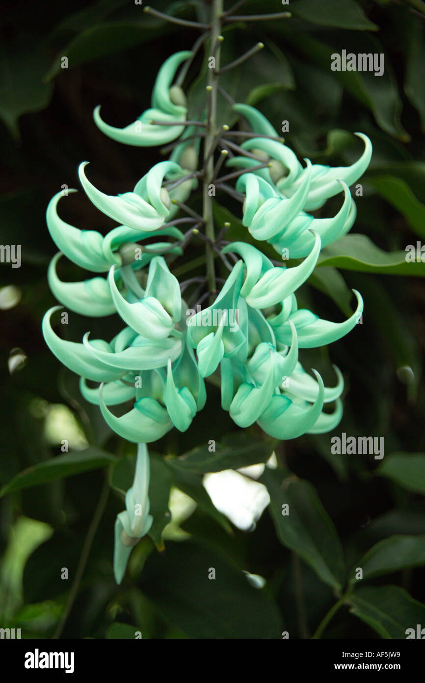 Horticultures hi-res stock photography and images - Alamy