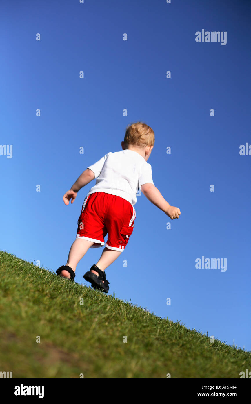 Two year old boy walking away from camera on grass with bright blue sky ...