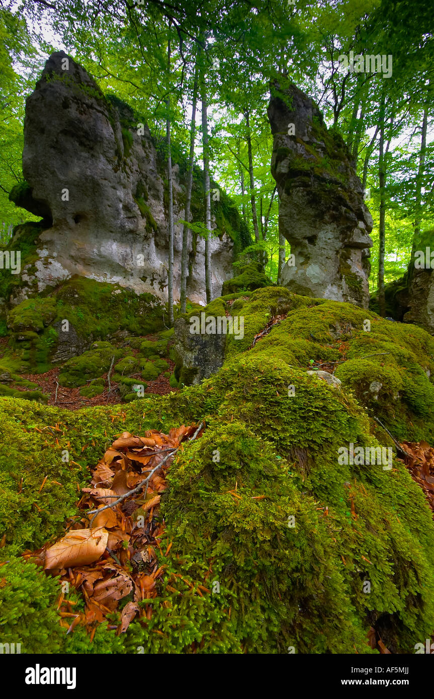 Parque Natural de Urbasa, Pais Vasco, España. Natural Park of Urbasa ...
