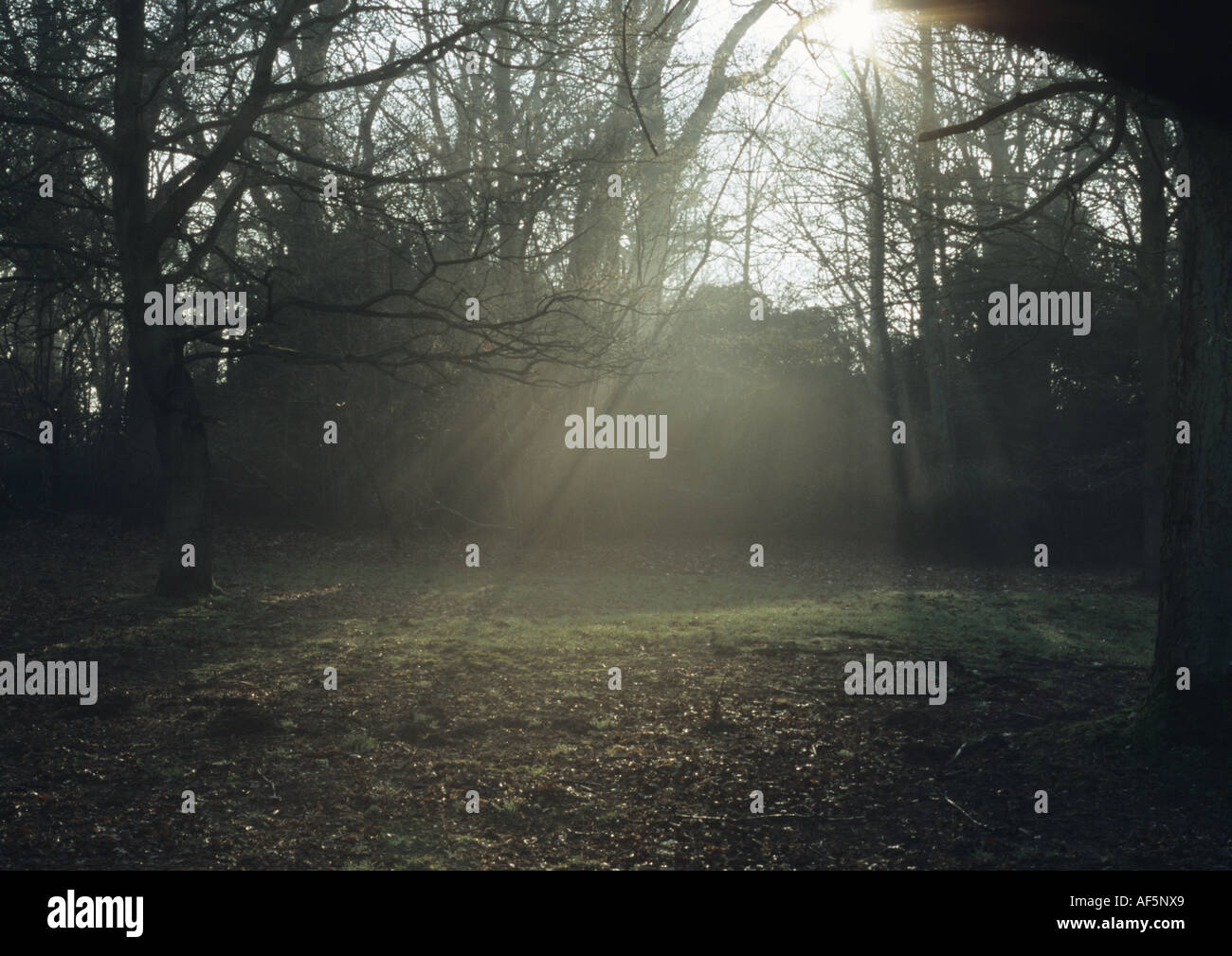 Shaft of light hi-res stock photography and images - Alamy