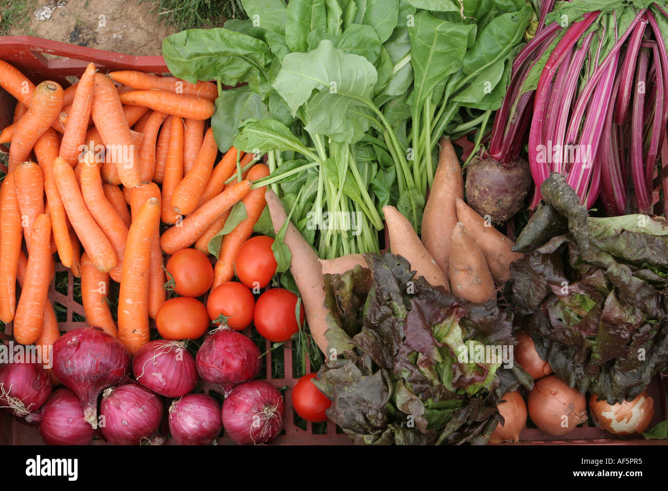 Produced in kent food hi-res stock photography and images - Alamy